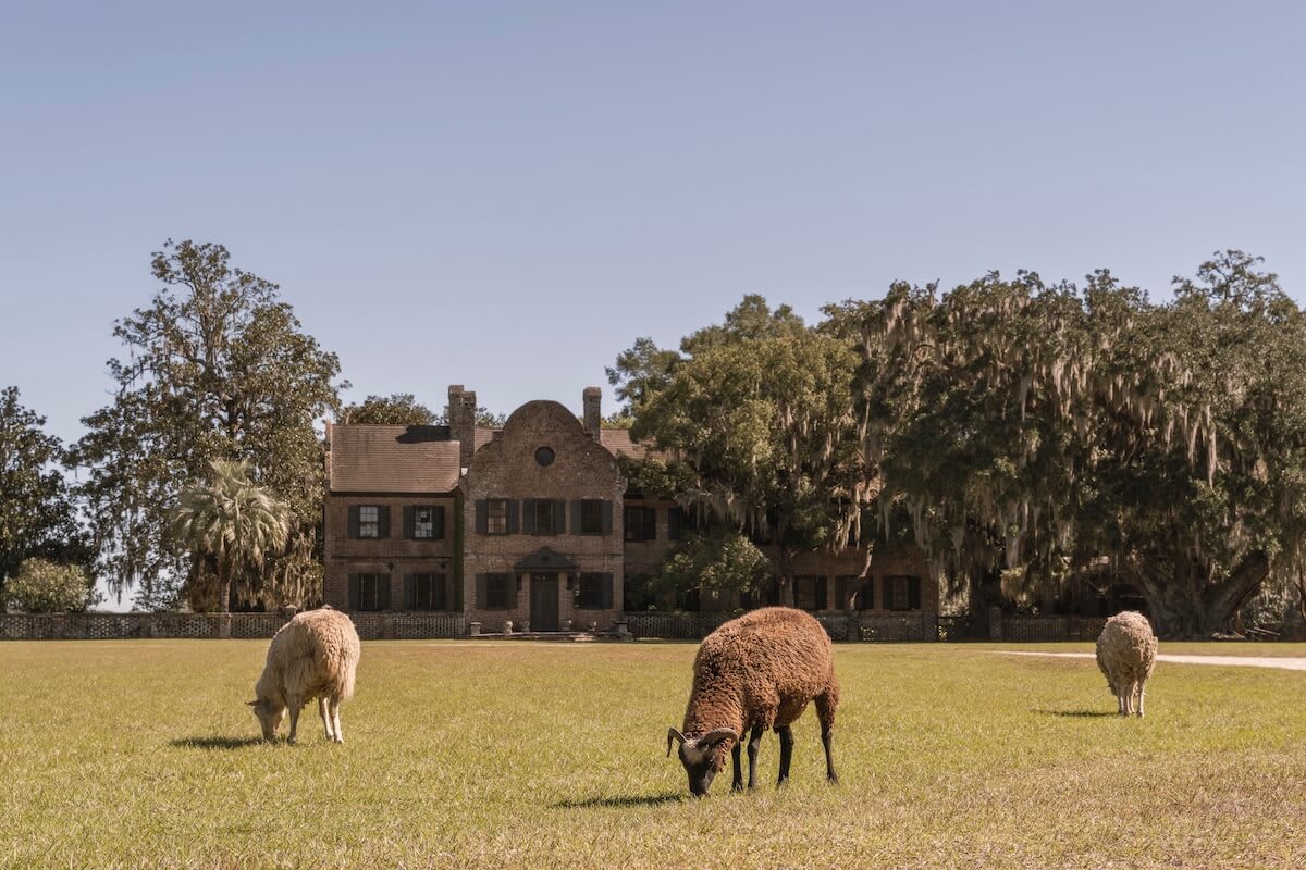 5 must-visit Lowcountry attractions for exploring Revolutionary history