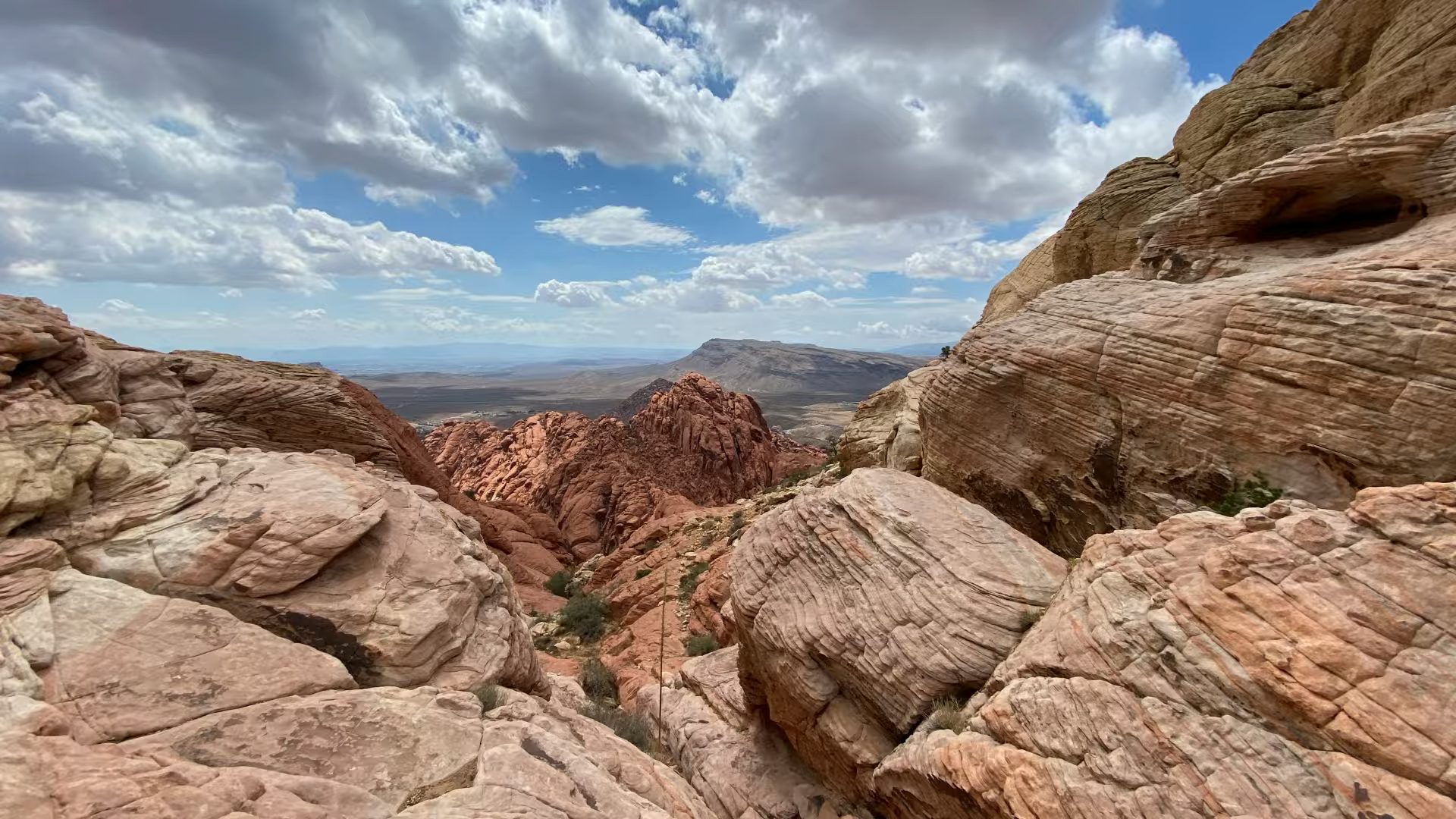 Step outside - cities with easy access to nature without a car