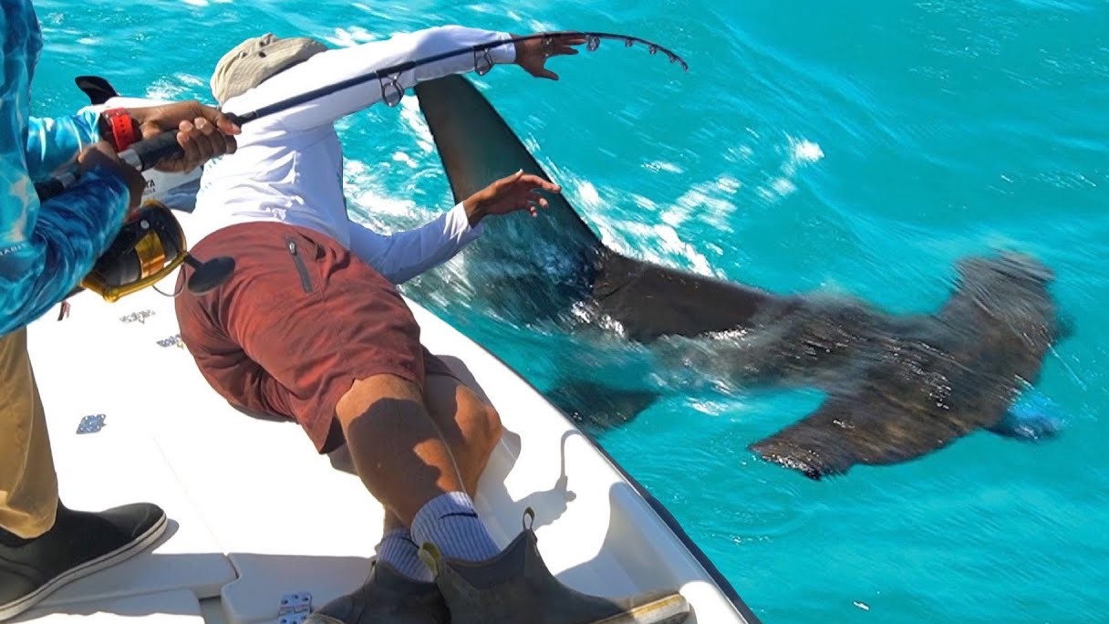 People were in the water when this shark showed up