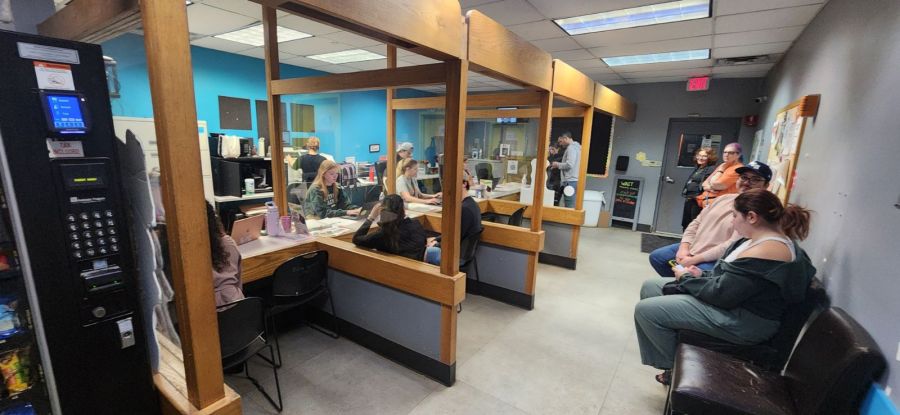 Austin Pets Alive! Essentially out of pets after overwhelming community ...