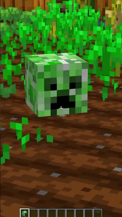 Minecraft creeper head crops are creepy