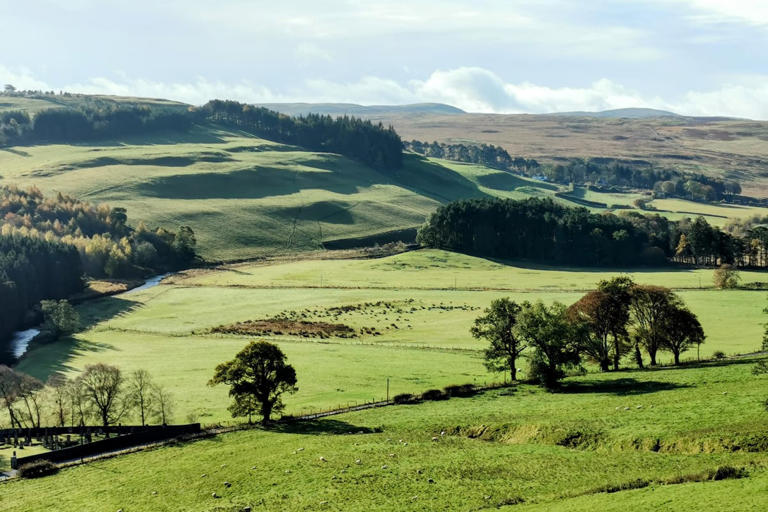 MoD objects to wind farm over 'unmanageable' risk to nuclear test ...
