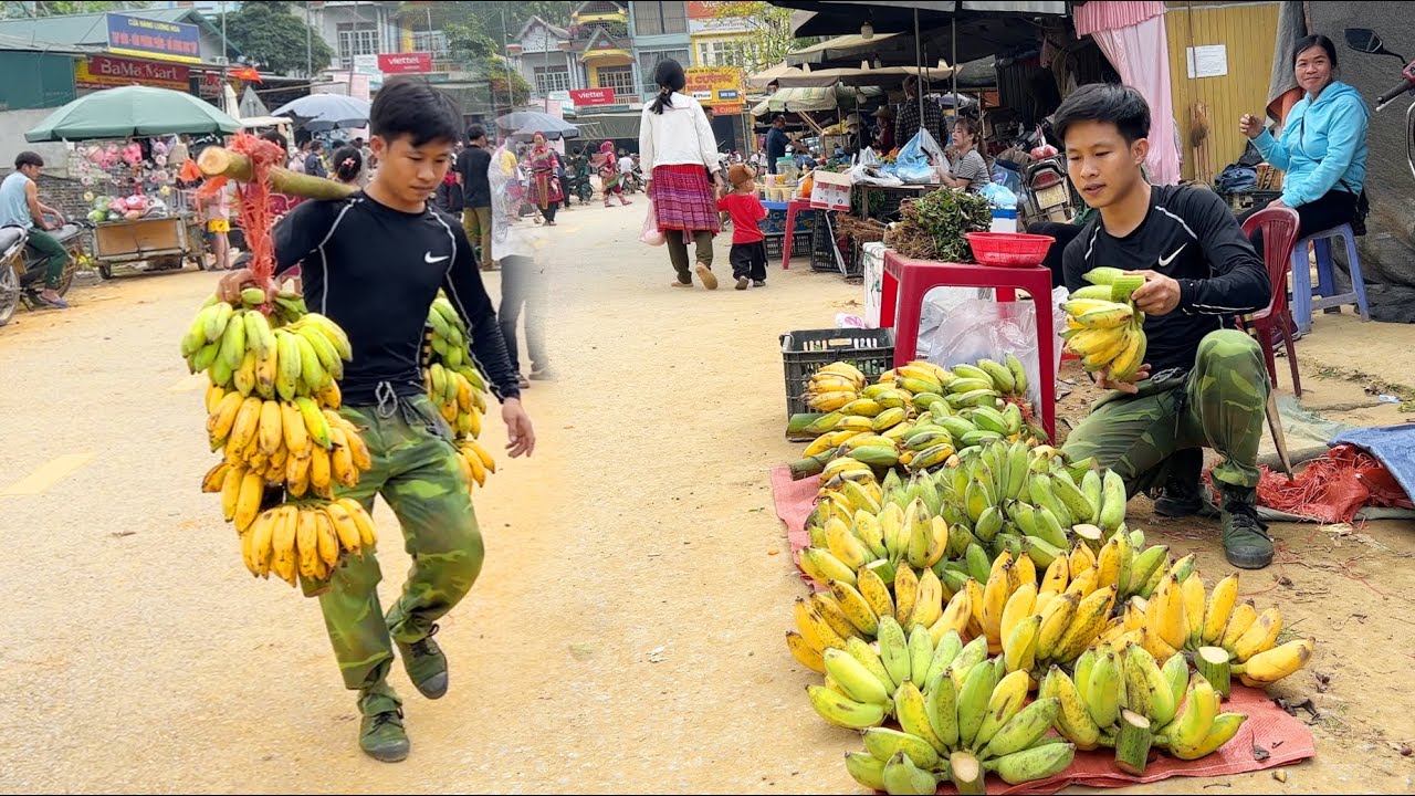 2 Days Harvest Big Bananas Go To Country Market Sell, Make a hut, 2 ...
