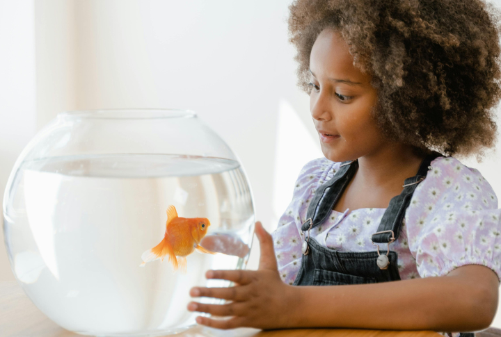 15 best aquarium fish to keep as pets