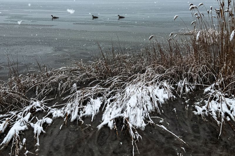 Freezing temps, heavy snow expected for millions of people in central ...