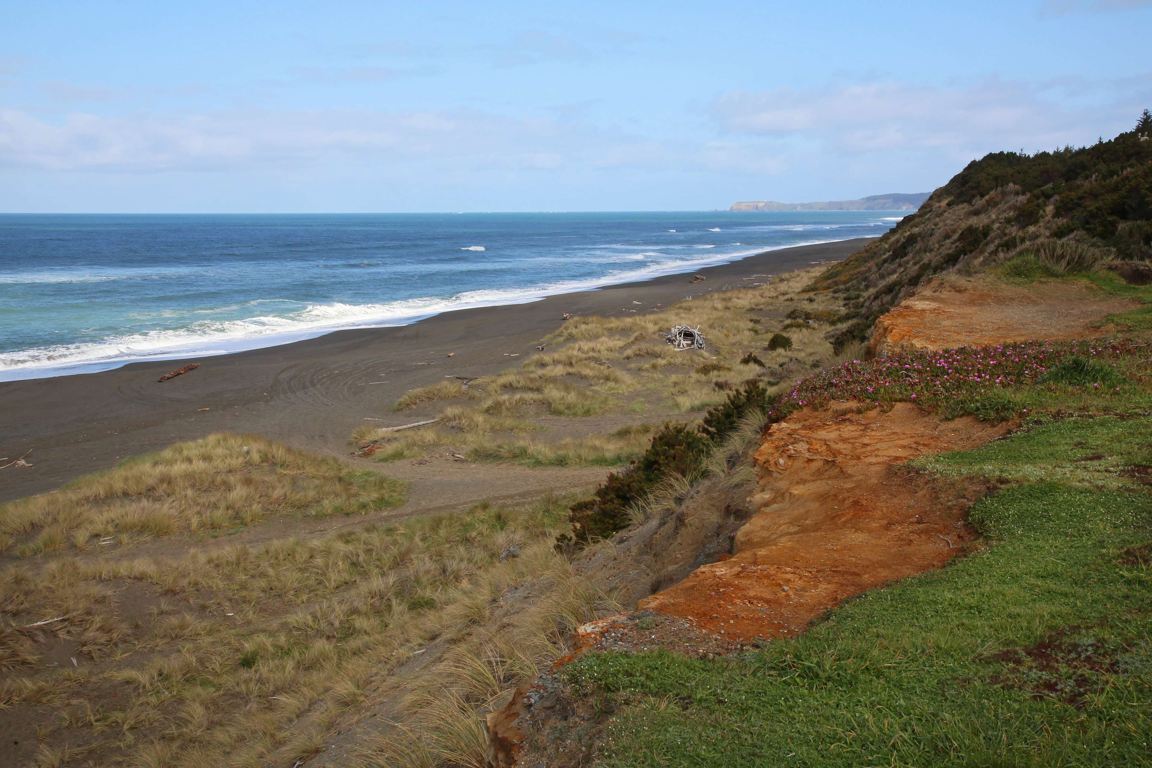 Oregon coast park back open after Texas lady removed from the beach
