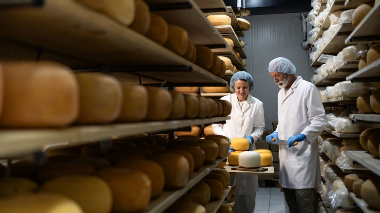 The hidden superpower of aged cheeses to know about