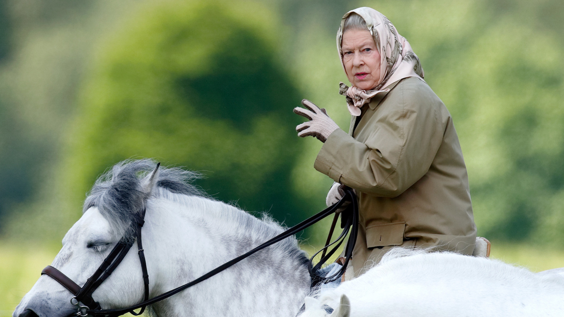 Unusual hobbies of your favorite celebrities