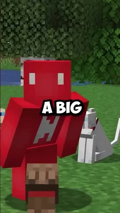 Minecraft's weird cat animation details