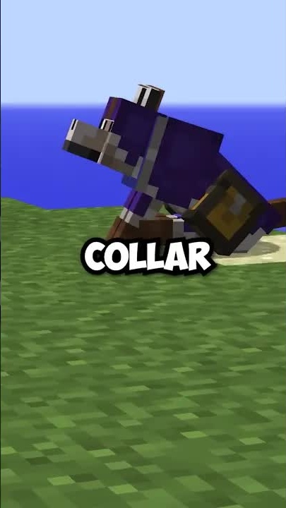 Minecraft wolf armor mod: storage, diamond armor, and more!