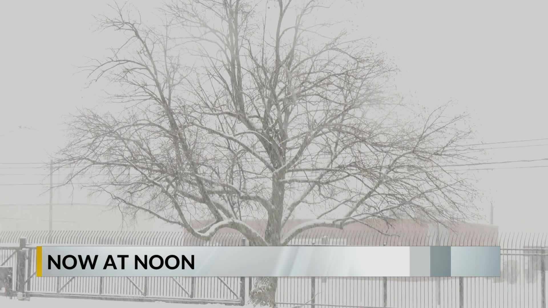 6 News at noon for 1/22/2026