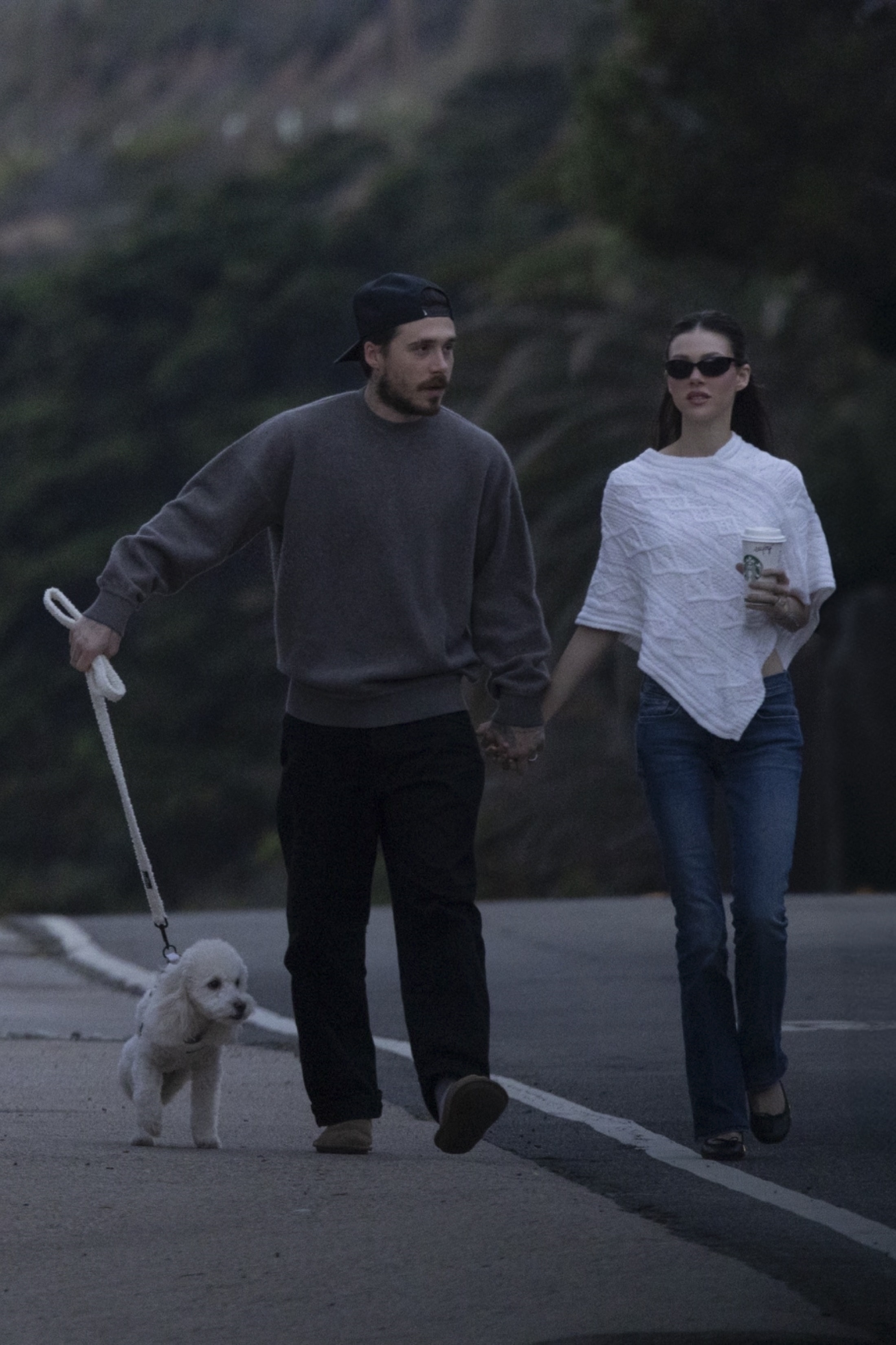 Brooklyn Beckham and Nicola Peltz hold hands on romantic stroll in ...