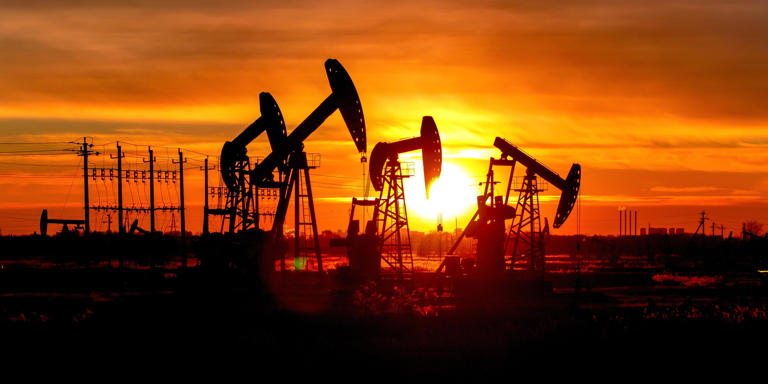From oil shocks to China disruptions, here are 5 black swan events that ...