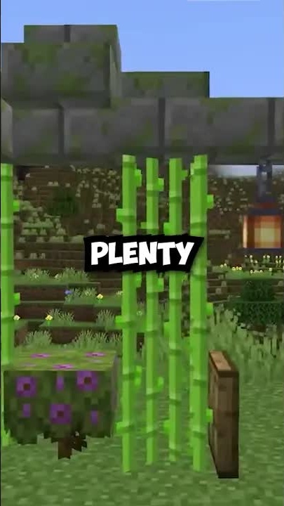 Minecraft building hacks using dead sugarcane