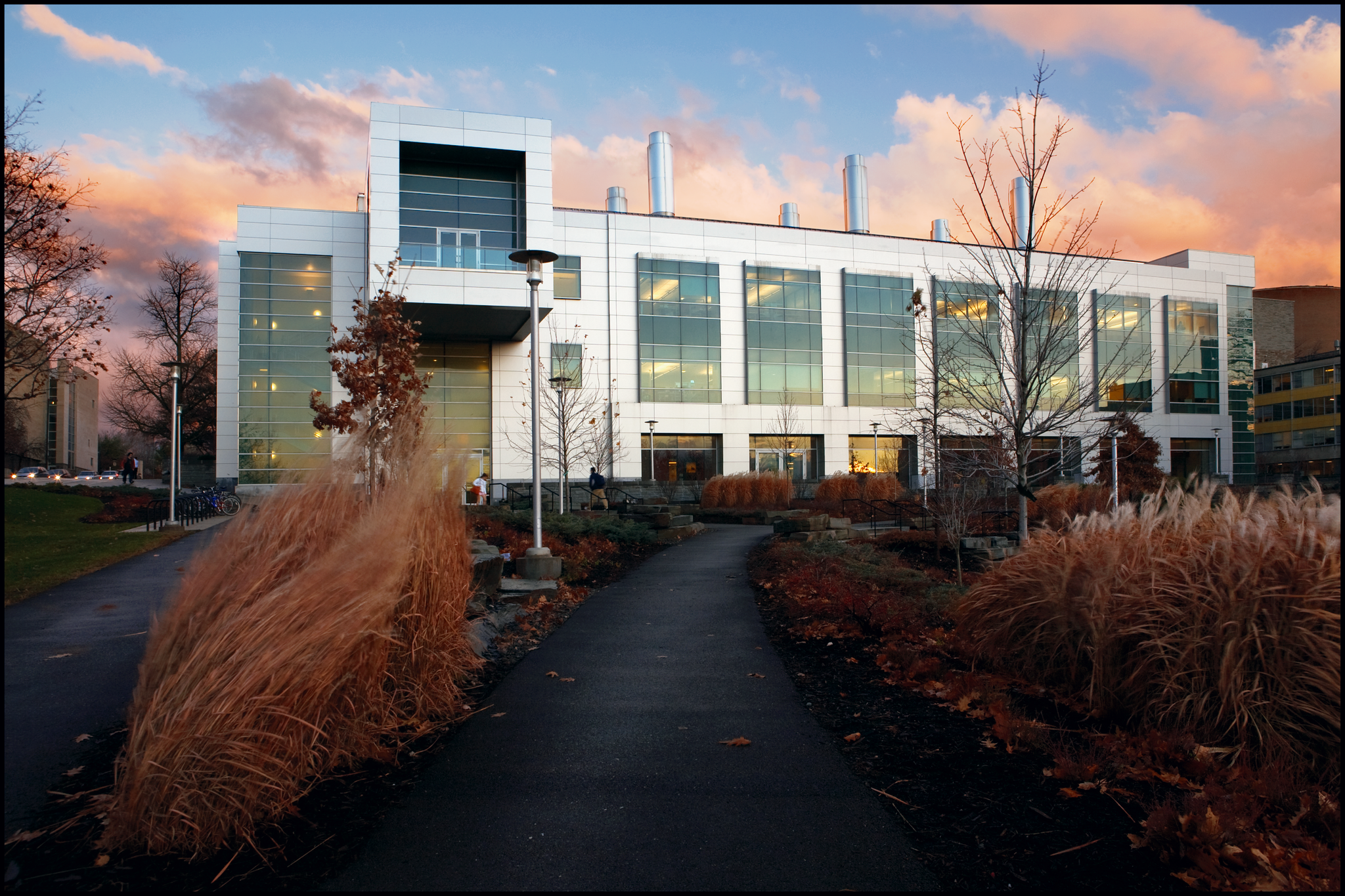 David Duffield pledges $371.5 million to Cornell. How money will be used