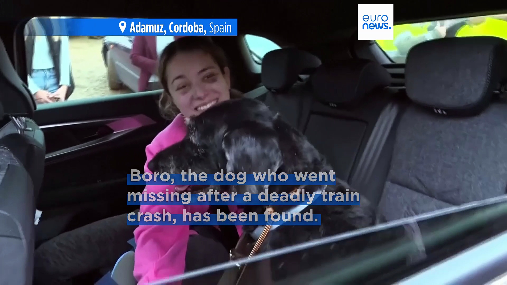 Lost and found: Missing dog Boro found safe after Spanish train crash