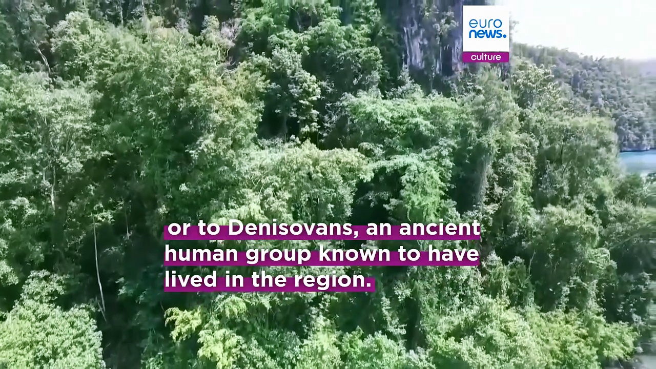 Handy work: Stencil rock paintings found in Indonesia may be world's ...