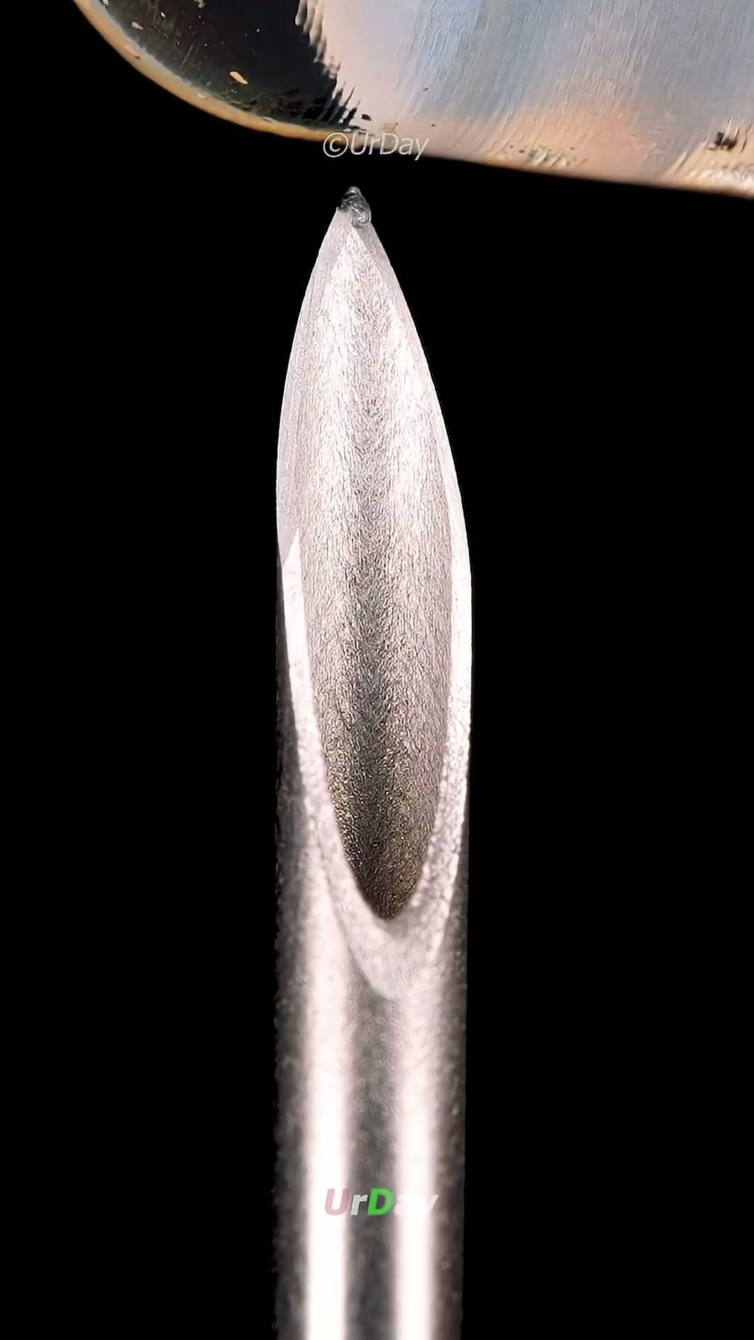 Ear wax vs needle close-up #urday #satisfying #closeup