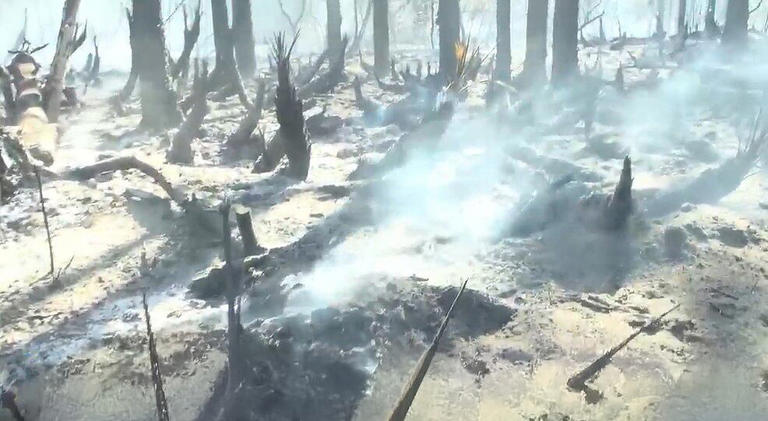 Highlands County officials monitor smoke from wildfire, prescribed burns
