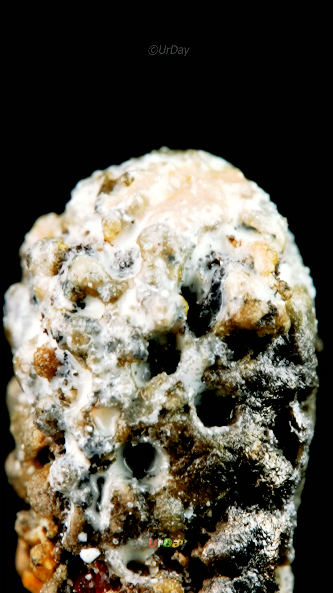 Ink drop on a burning match stick up close #superzoom #urday # ...