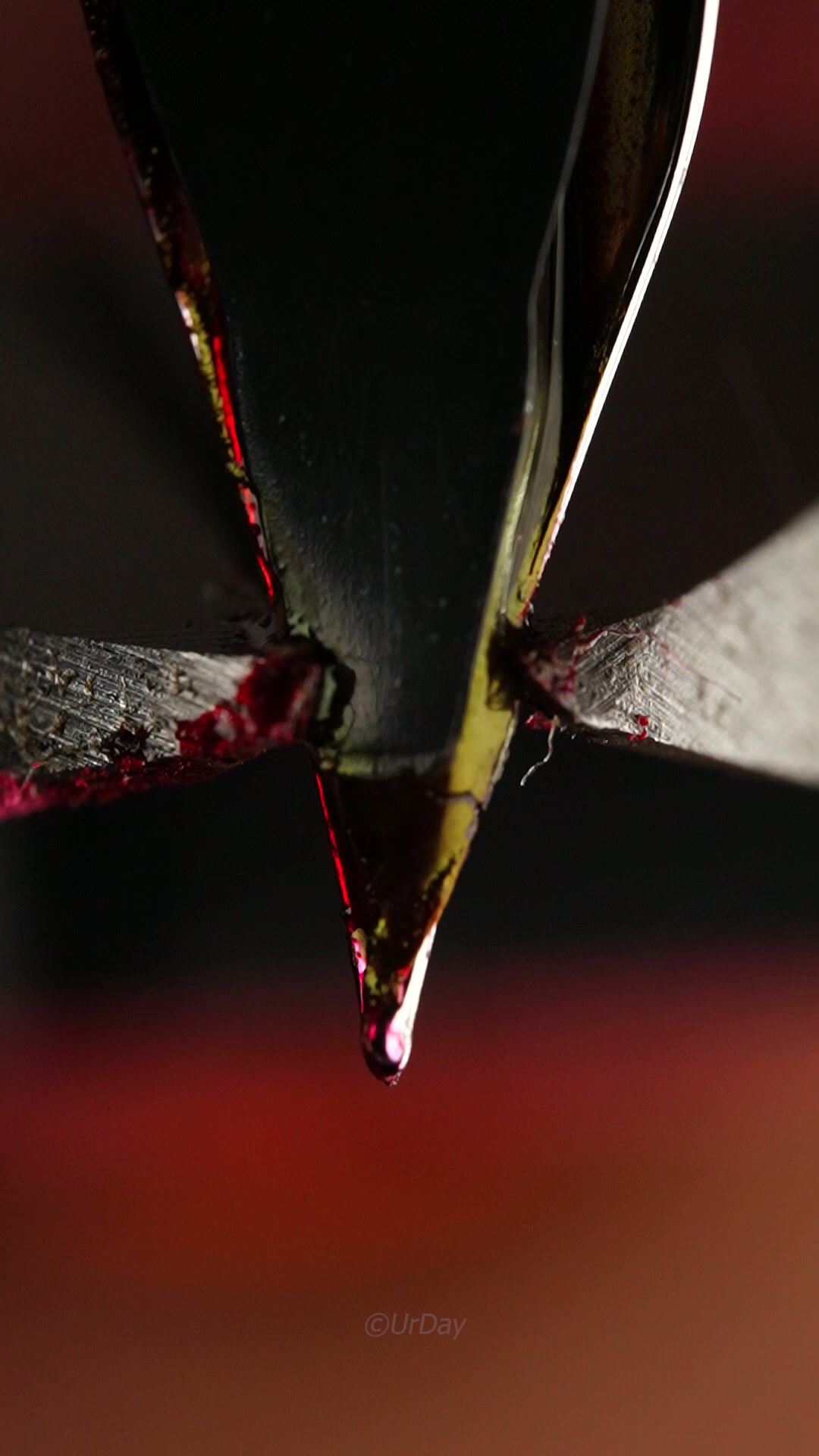 Biting off a fountain pen in macro #urday #satisfy