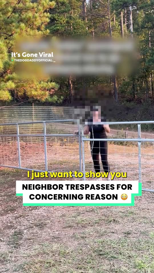 She showed up begging to 'touch' my dogs