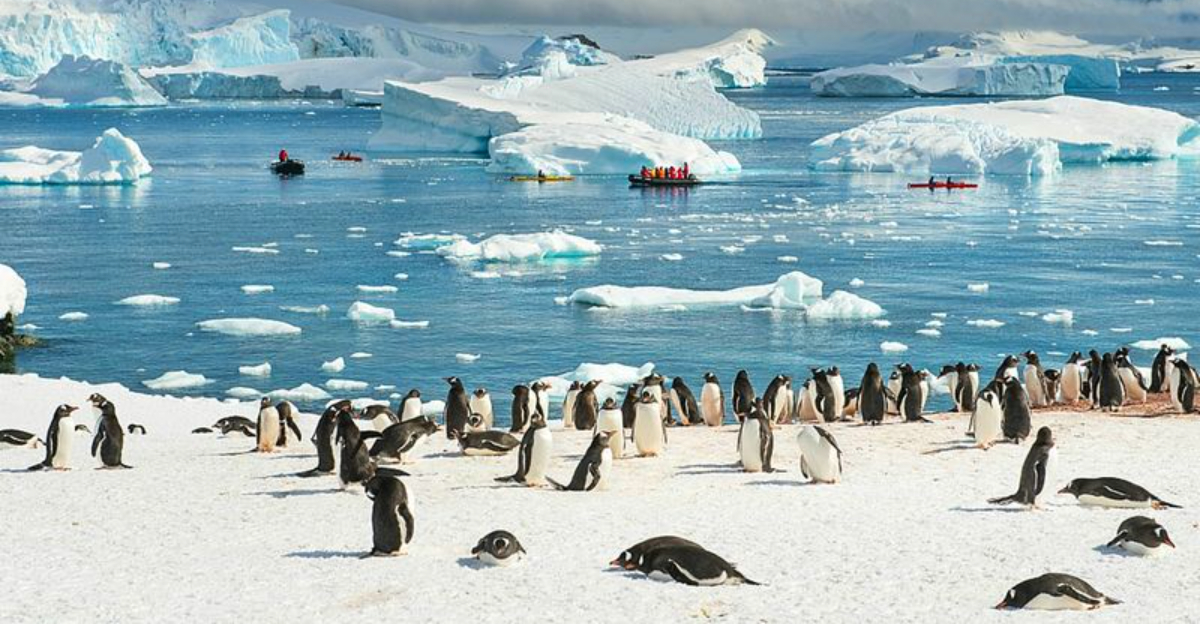 Inside Antarctica’s secret world: 13 incredible discoveries beneath the ice