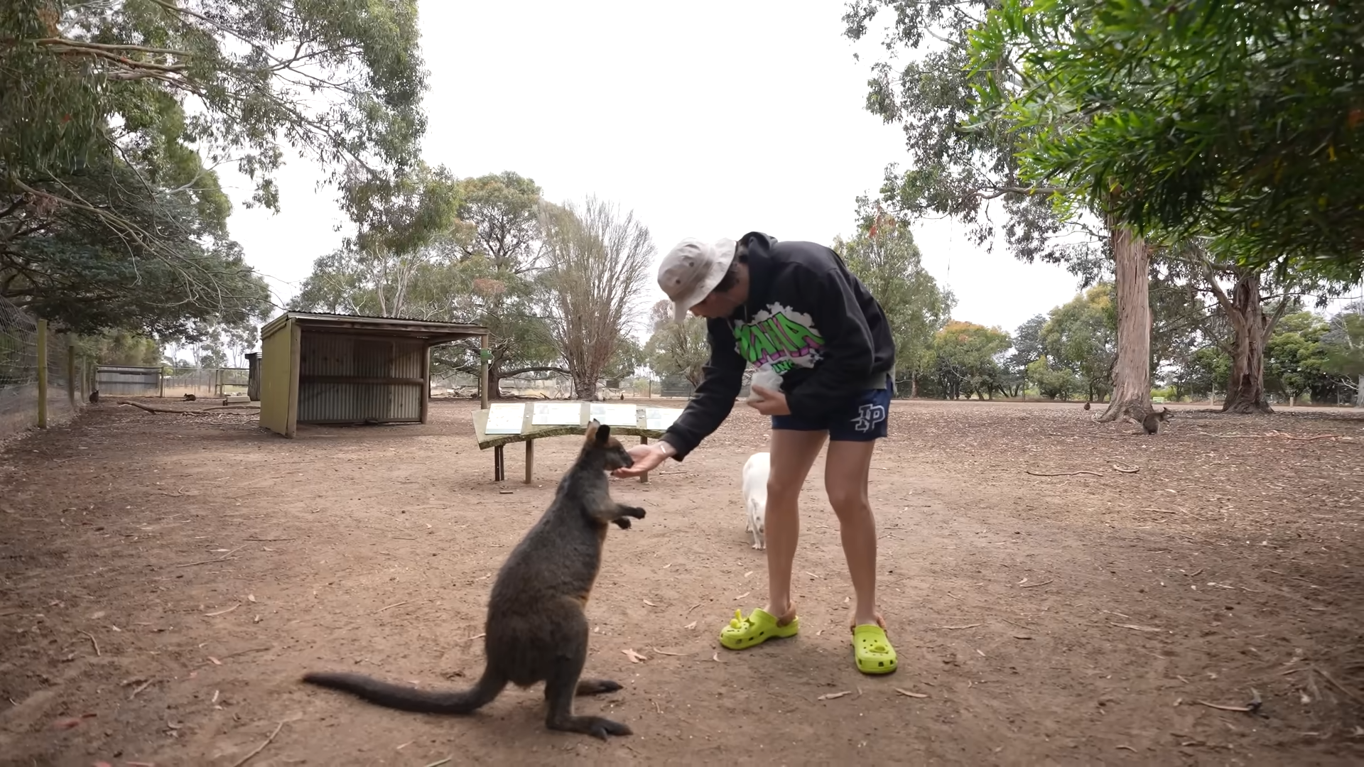 He Was Dropped on Kangaroo Island at 1 A.M.…Then the Survival Began