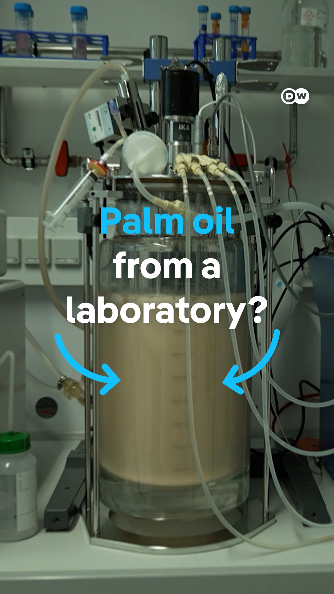 Palm oil from a laboratory?