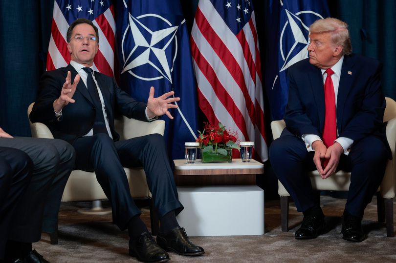 Trump cankles on full display during diplomatic talks after looking ...