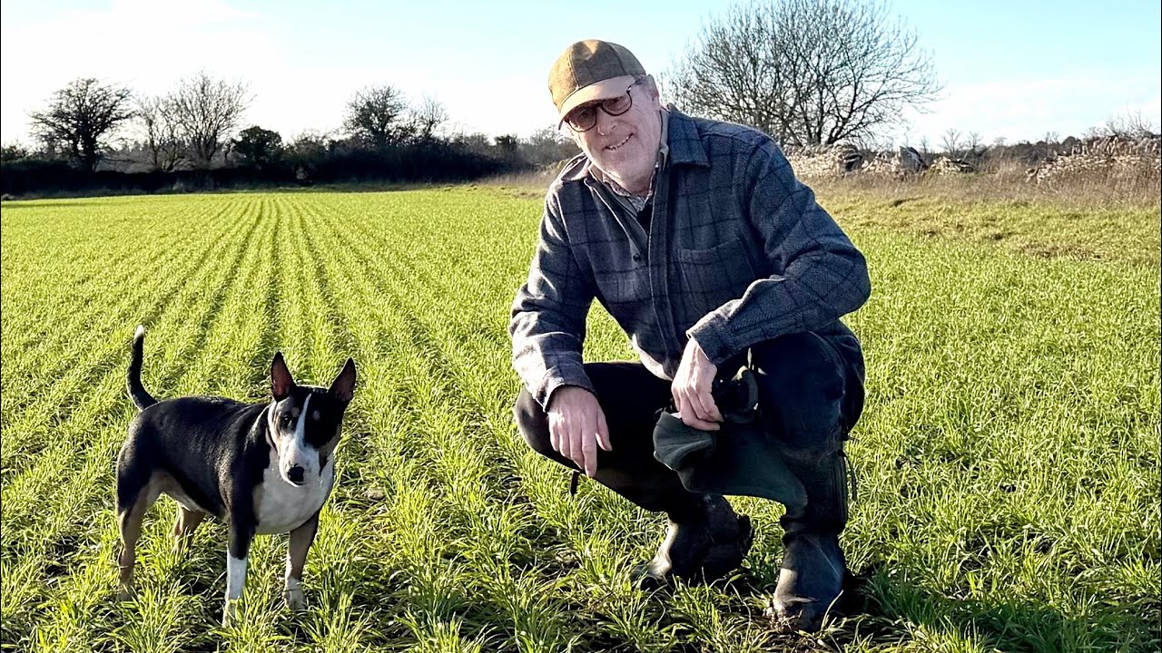 A good harvest will be critical in 2026, or this year could be make or ...