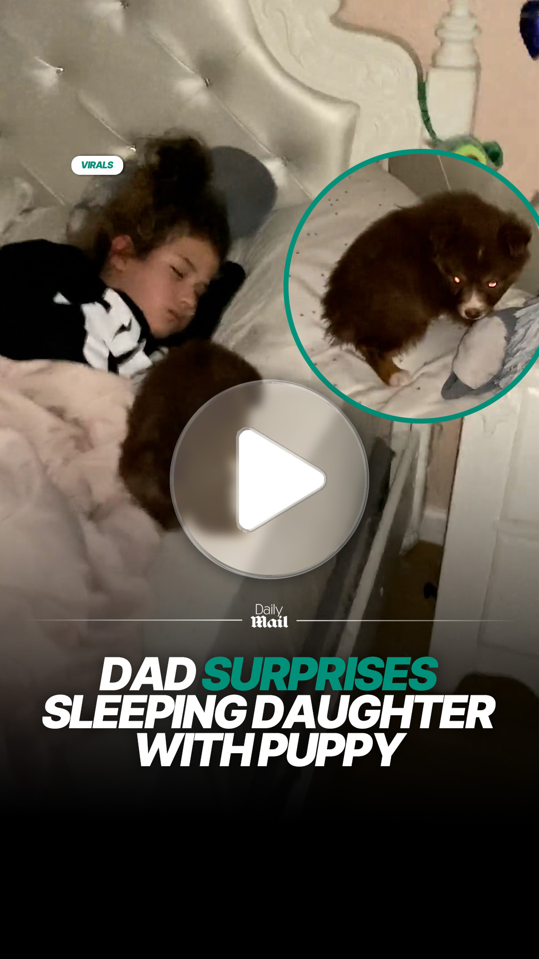 Dad surprises his sleeping daughter with a new puppy