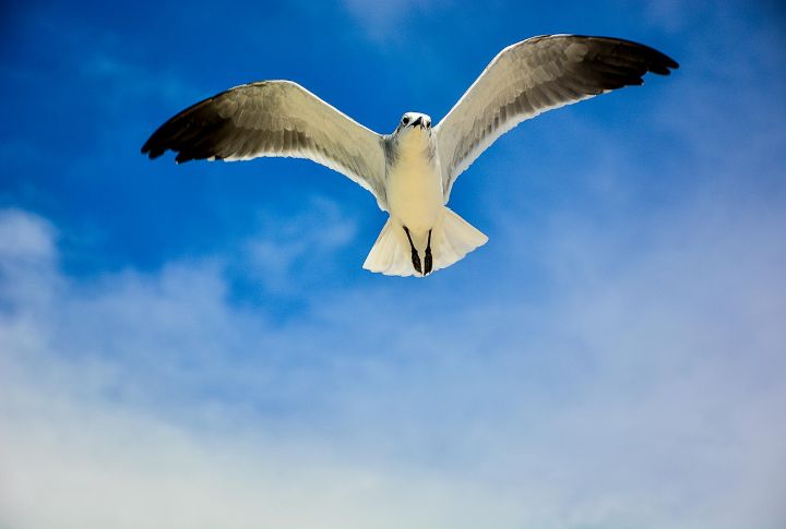 15 interesting beliefs about the afterlife