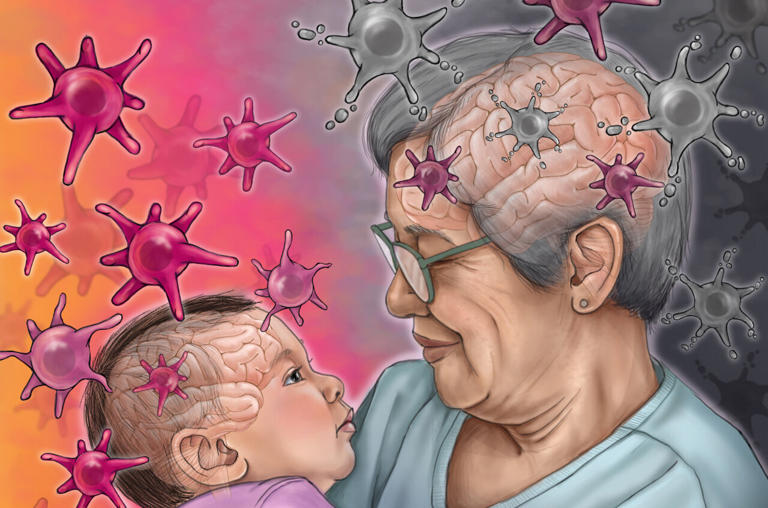 Cellular senescence linked to brain structure changes across lifespan