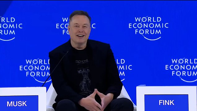 Elon Musk's awkward Greenland joke fails to land at WEF talk