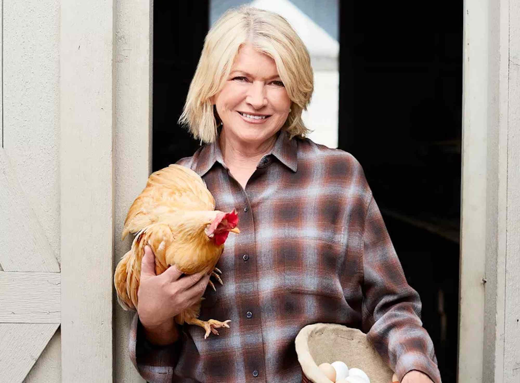 Martha welcomes 13 new chickens to her farm—see the beautiful birds here