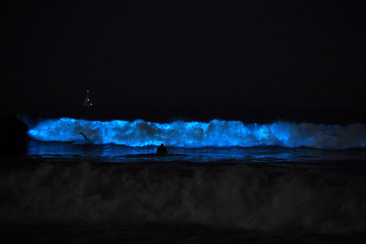 Strange natural phenomena that are actually real