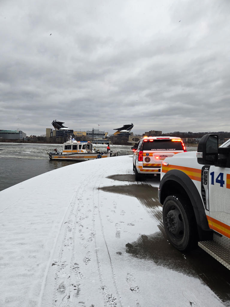 Stolen $30K harp found after man jumped naked in Pittsburgh river