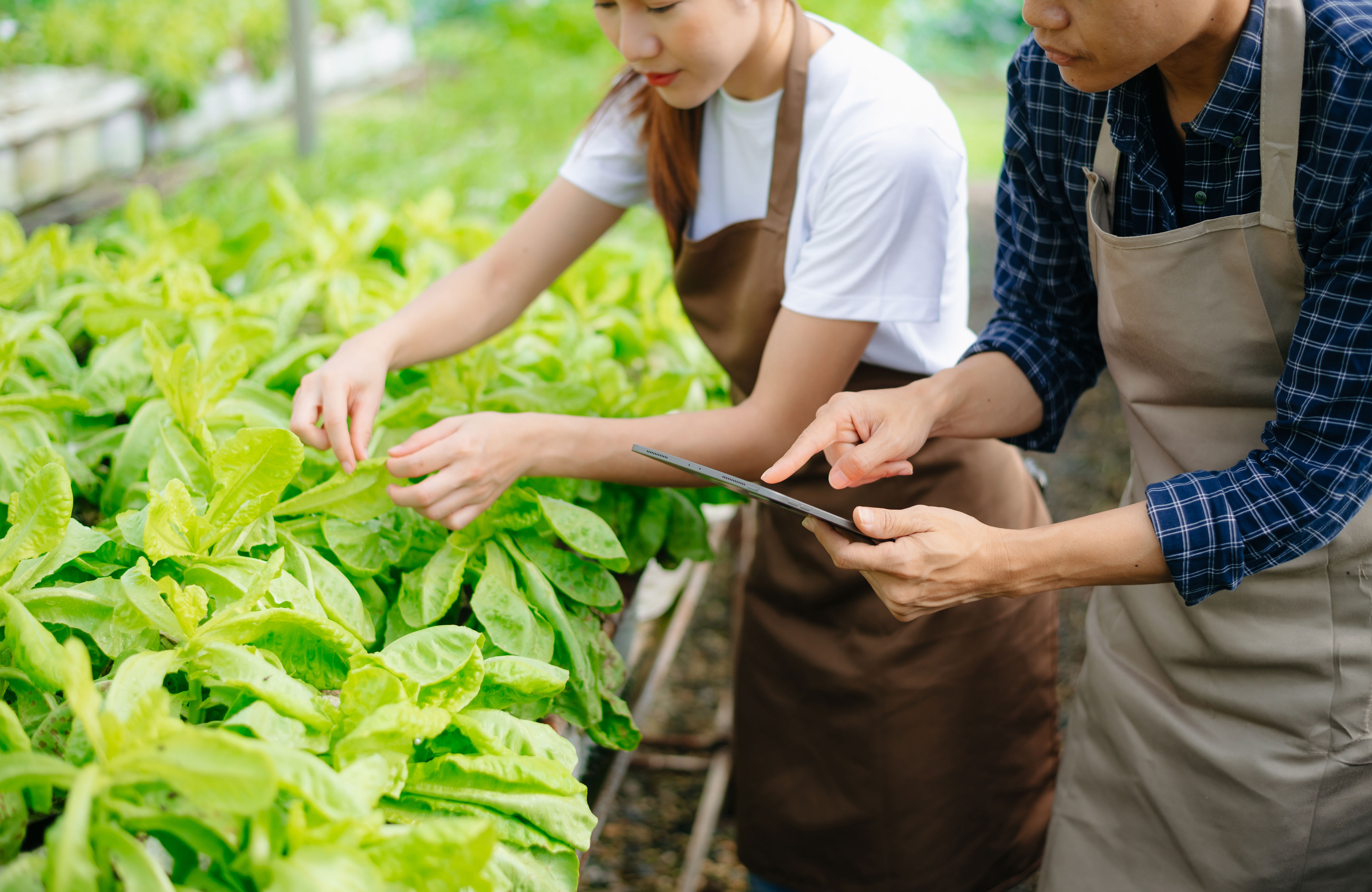Davos 2026: Newsweek highlights agritech innovations driving future of food