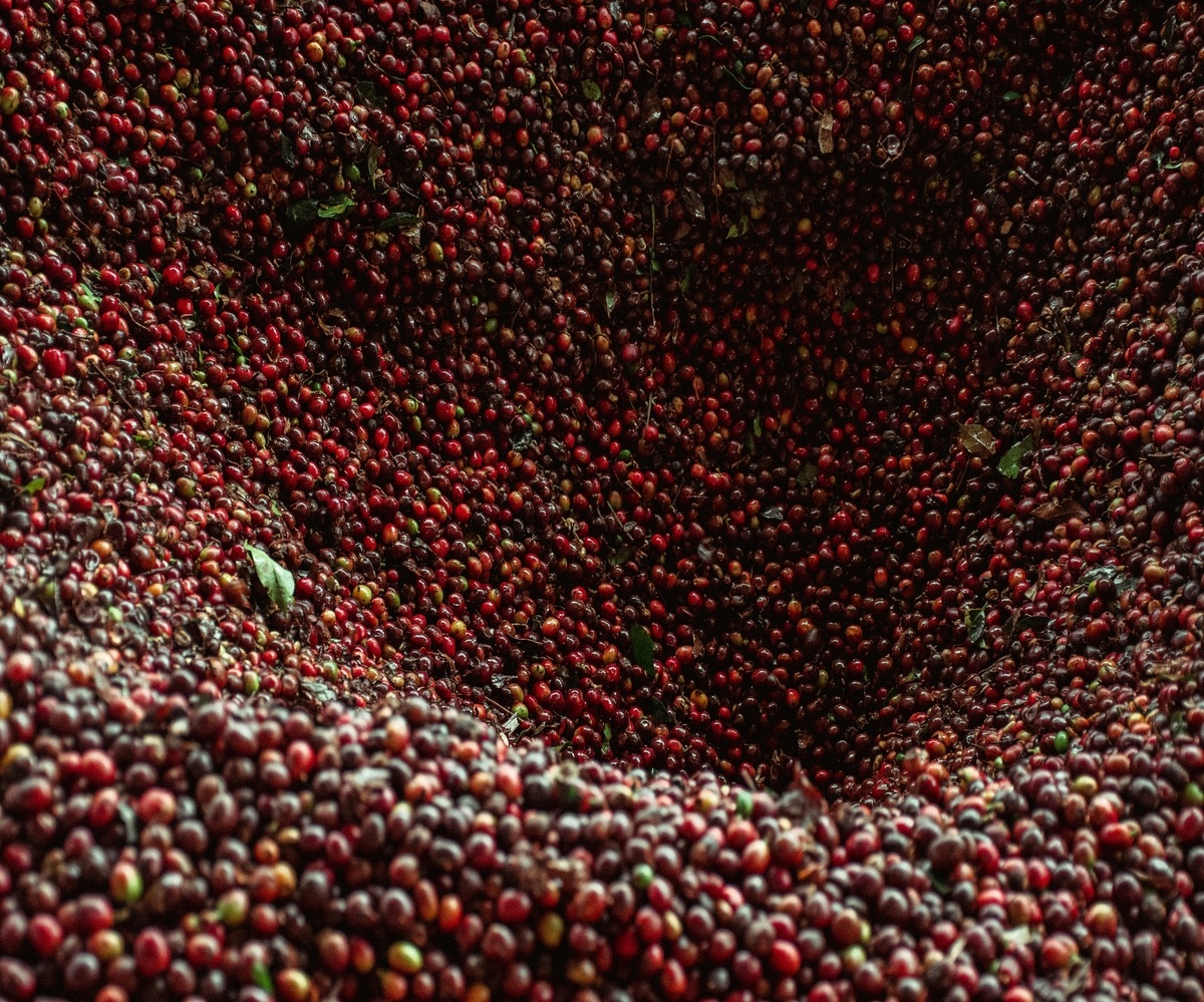 17 gorgeous tropical coffee farms open for tours