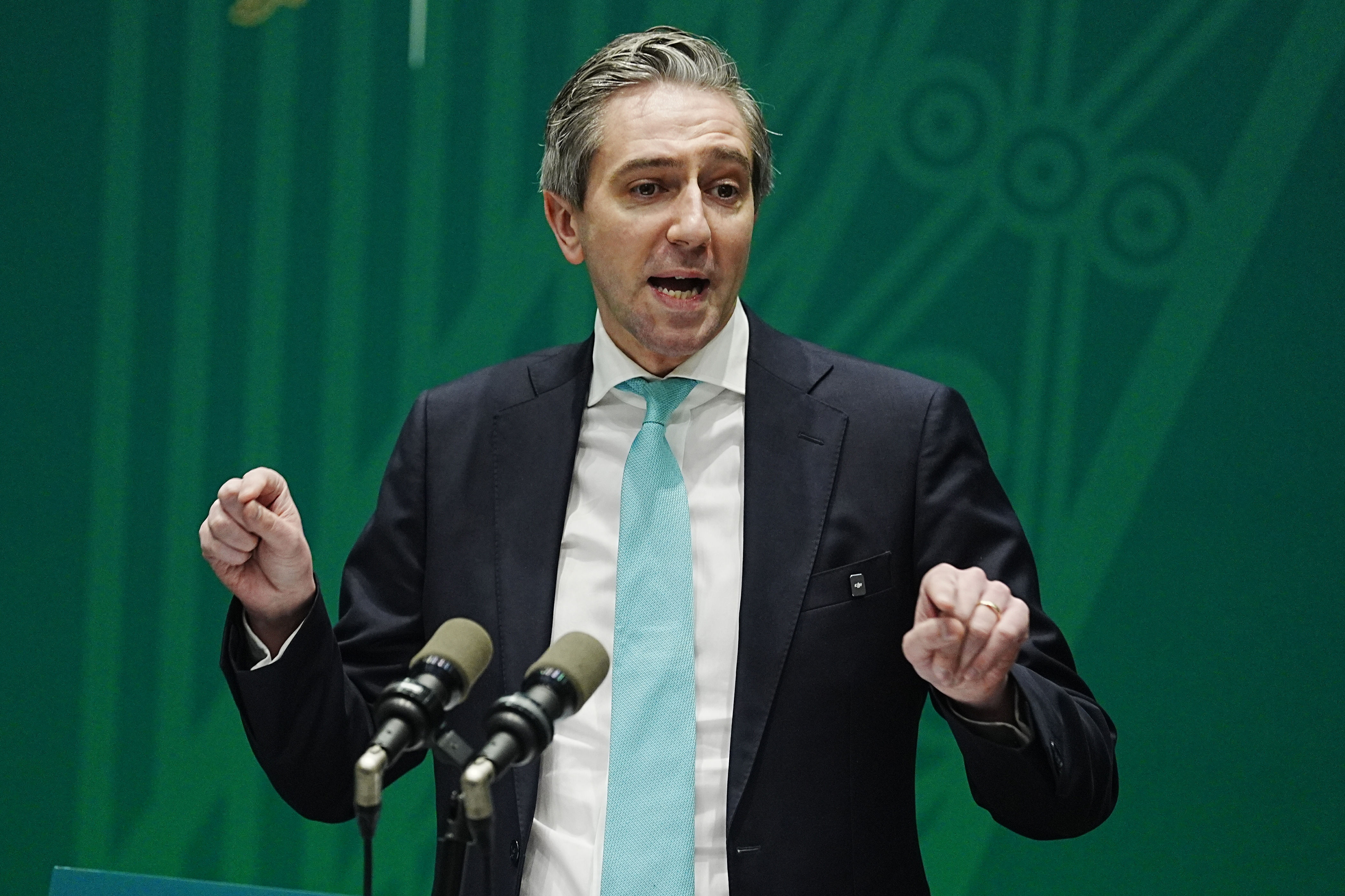 ‘Very serious red flags’ with Trump’s board of peace – Irish deputy premier