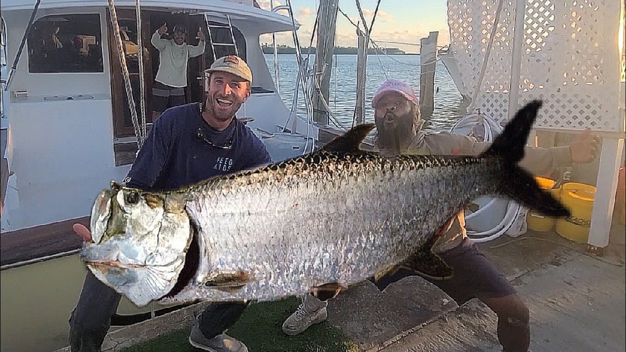 We caught a 300 pound tarpon and the fight was unreal