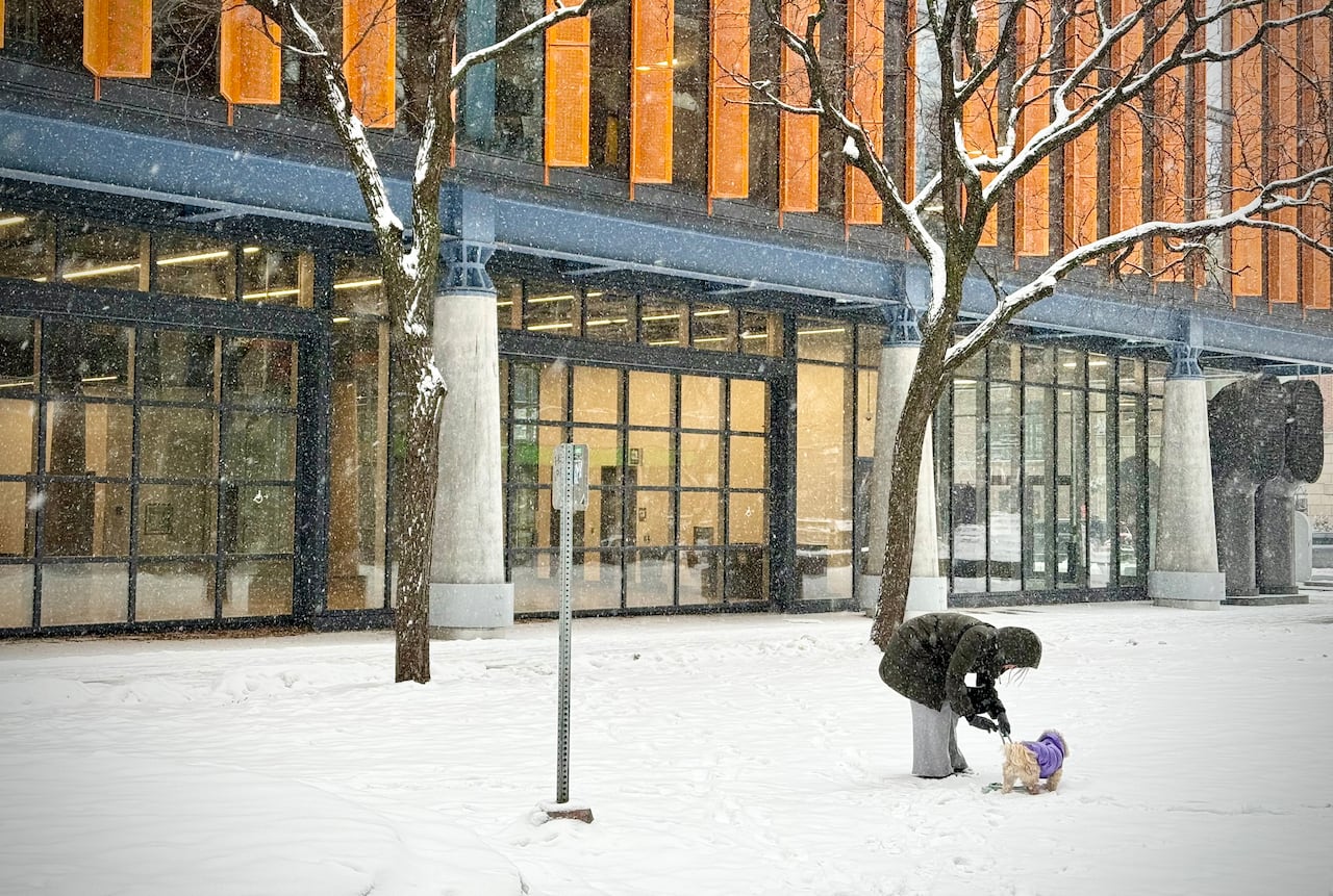 Frigid temperatures, 'significant' snow expected this weekend in the ...