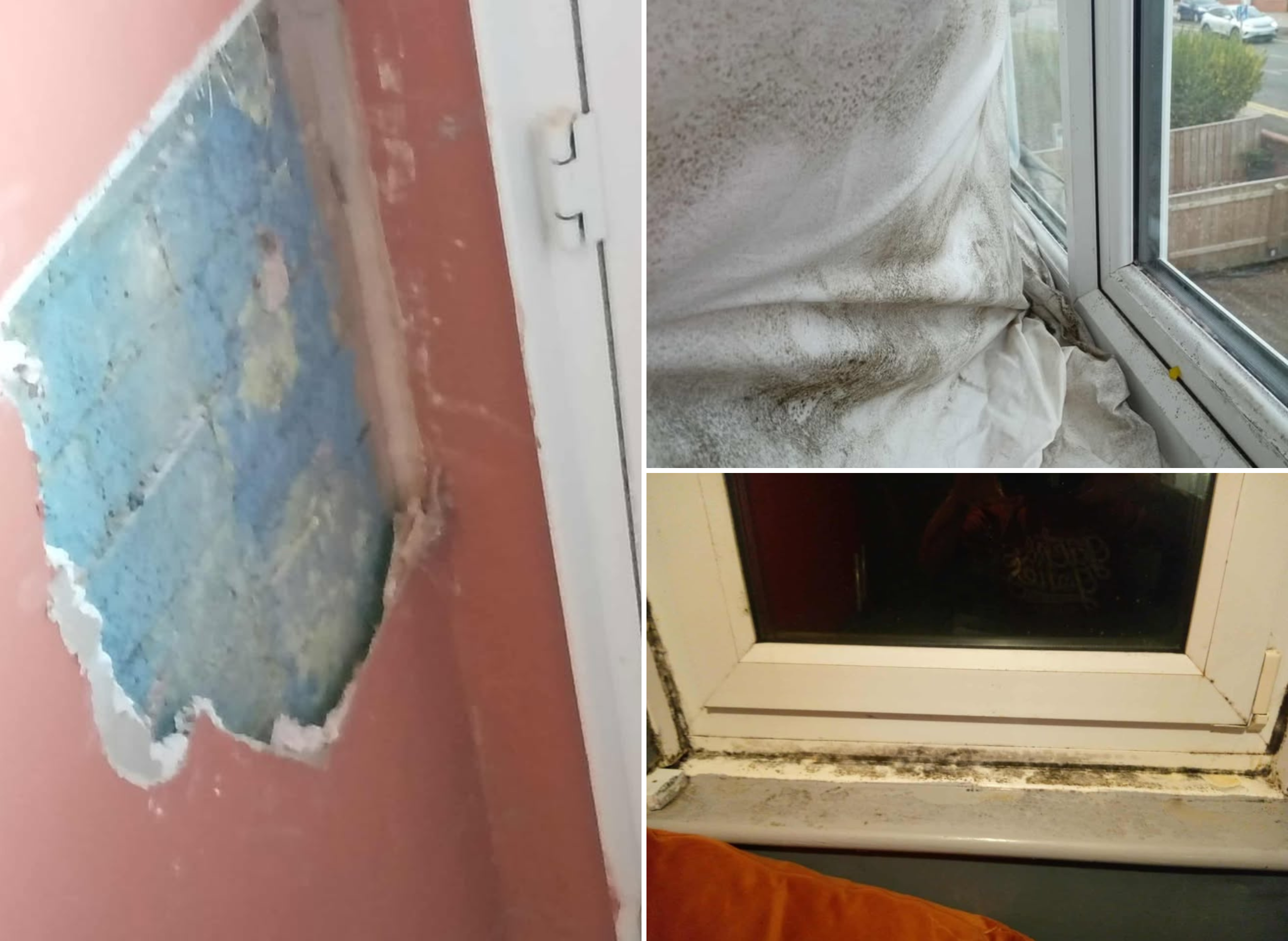 My living conditions were better in Afghanistan than in my Hebburn flat