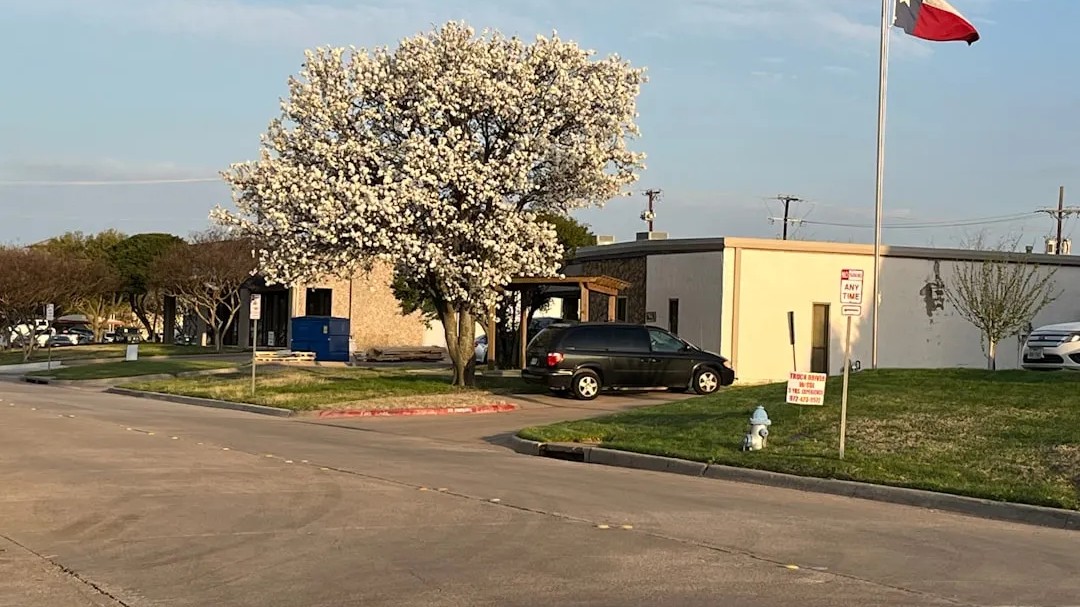 The golden state exodus: 5 clear reasons Californians now regret moving ...