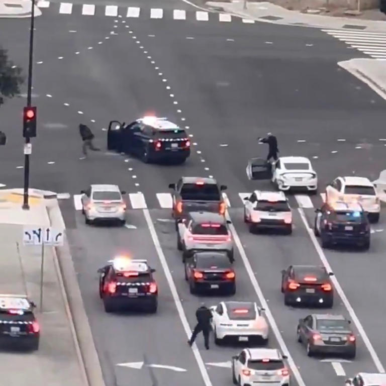 California carjacker mowed down and shot by cops in wild video