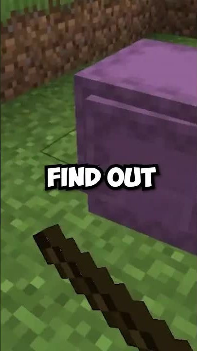 Minecraft's anvil glitch duplication tutorial