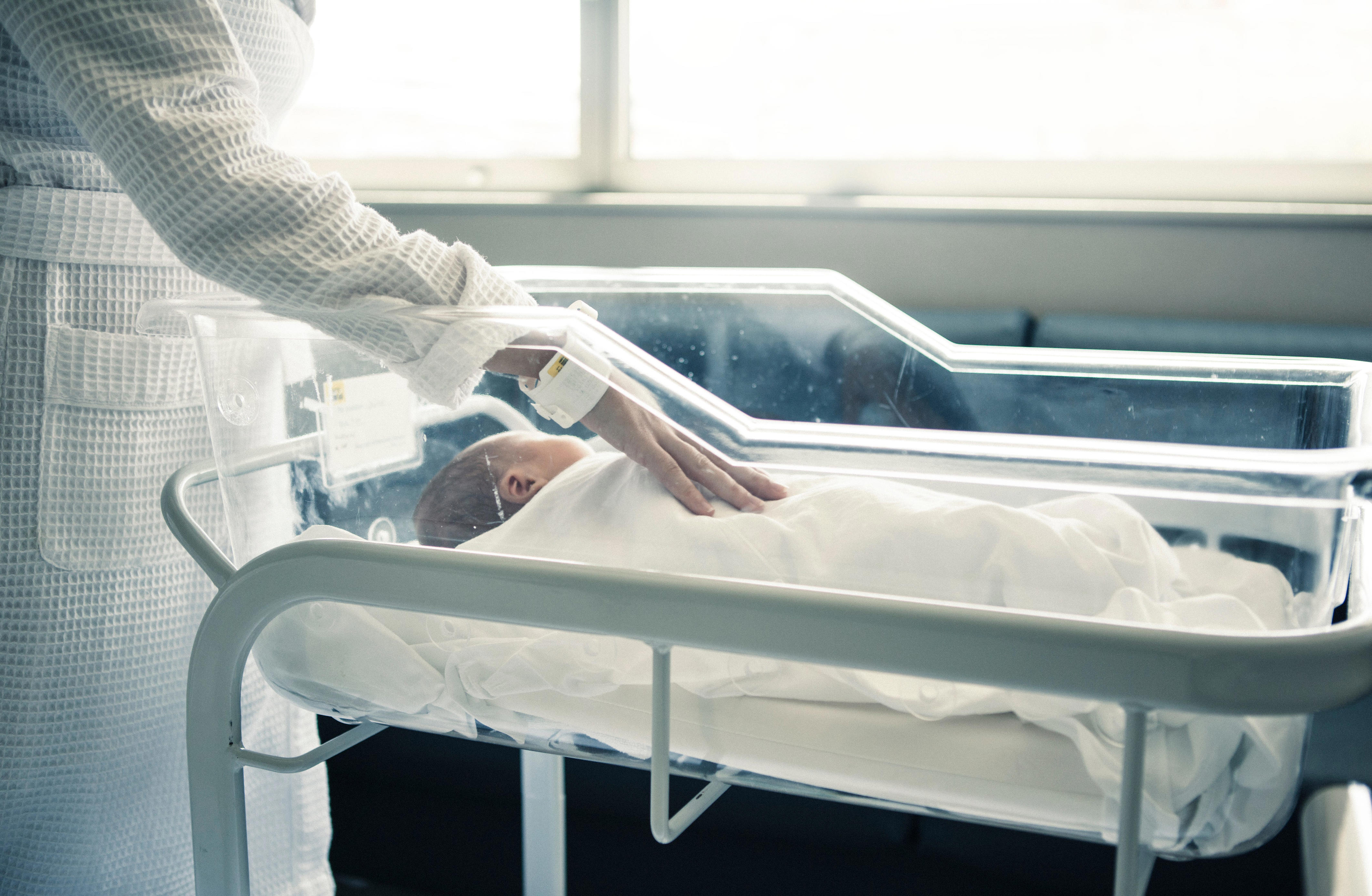 What prompted Florida couple to sue clinic, claiming it implanted wrong ...