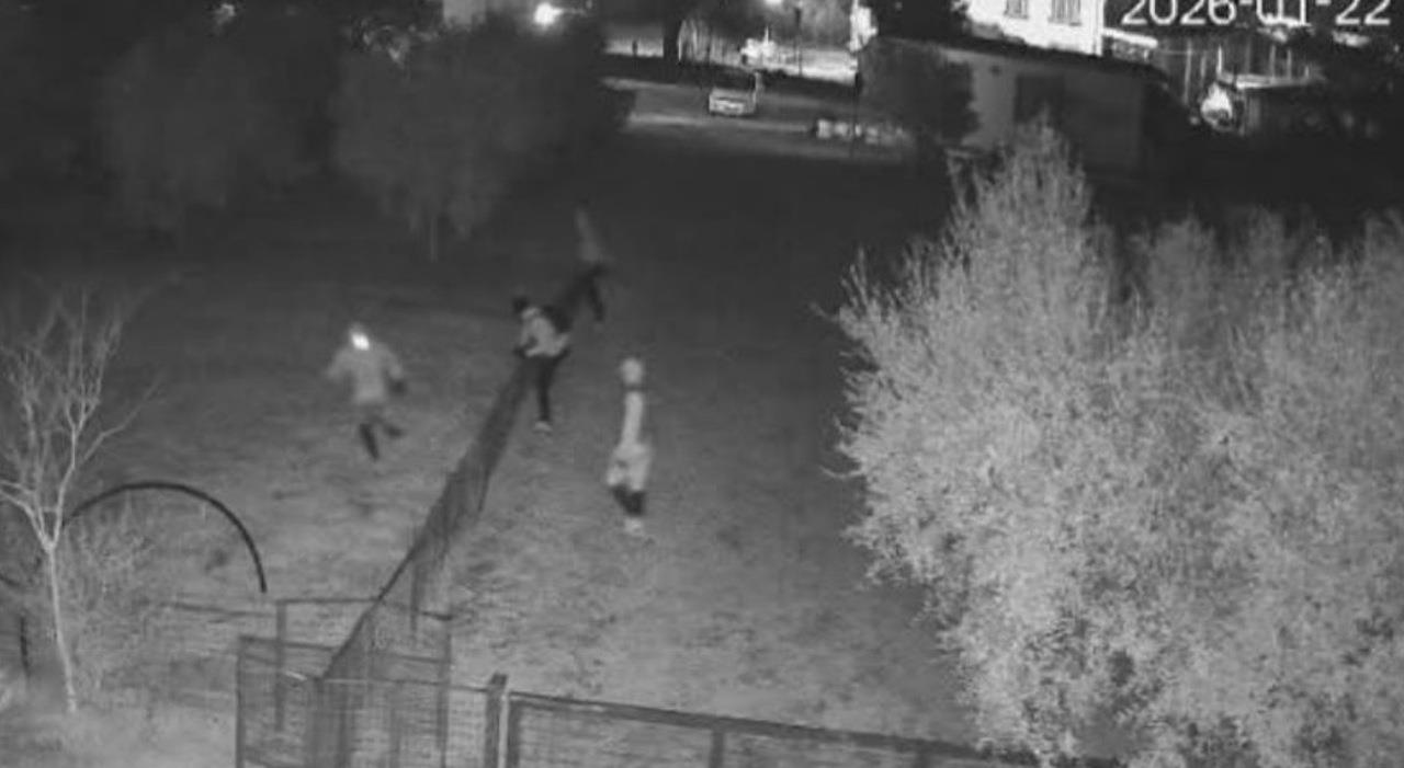 Tentato furto in via d’Aquino a Roccasecca: ladri messi in fuga dal ...