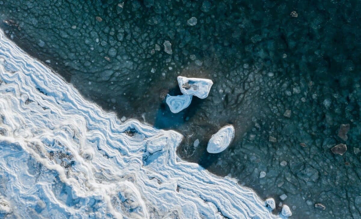 Scientists just found tiny creatures moving inside Arctic ice at –15°C